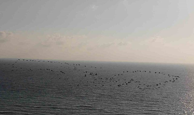 Depremin vurduğu Hatay'da göç eden turnalardan görsel şölen - TOPLUM ... Depremin vurduğu Hatay'da göç eden turnalardan görsel şölen - TOPLUM ...